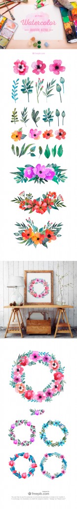CLD Exclusive Freebie: Beautiful Set of Watercolor Flowers (Vector)