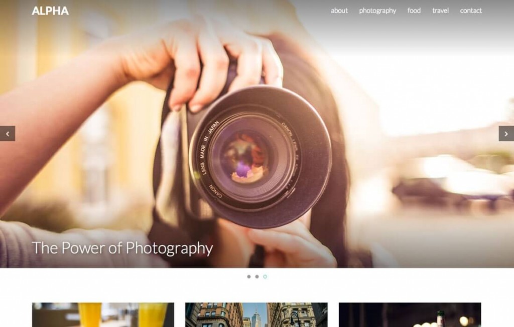 6 Best Portfolio Wordpress Themes For Photographers