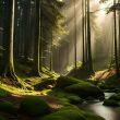30 Forests of Europe Wallpapers for Mobile